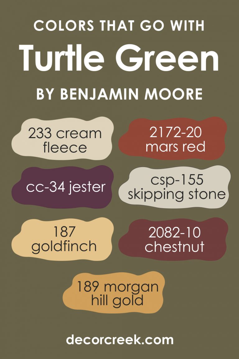 Turtle Green 2142-20 Paint Color by Benjamin Moore - DecorCreek