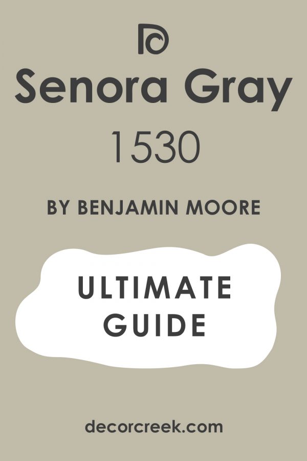 Senora Gray 1530 Paint Color by Benjamin Moore - DecorCreek