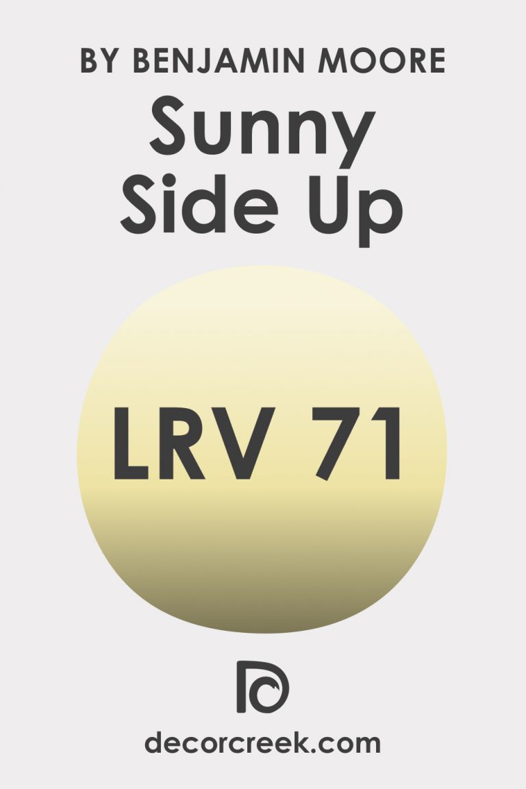 Sunny Side Up 367 Paint Color by Benjamin Moore - DecorCreek
