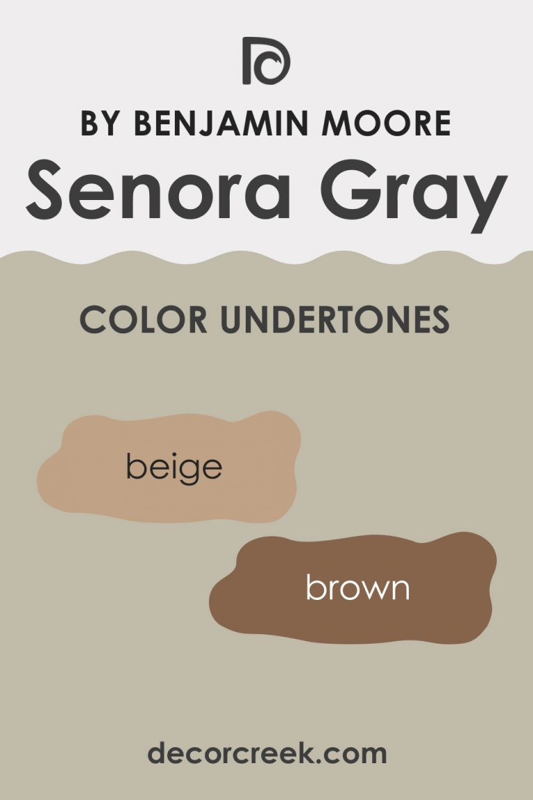 Senora Gray 1530 Paint Color by Benjamin Moore - DecorCreek