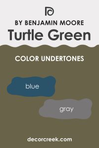 Turtle Green 2142-20 Paint Color by Benjamin Moore - DecorCreek