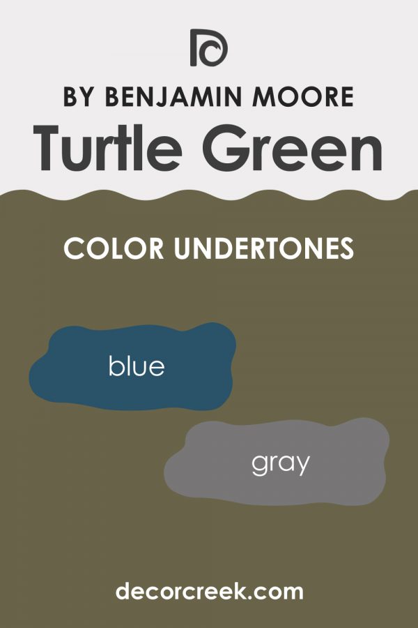 Turtle Green 2142-20 Paint Color by Benjamin Moore - DecorCreek