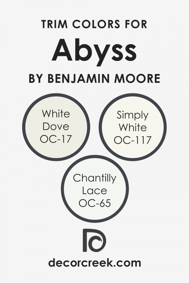 Abyss 2128-20 Paint Color by Benjamin Moore - DecorCreek