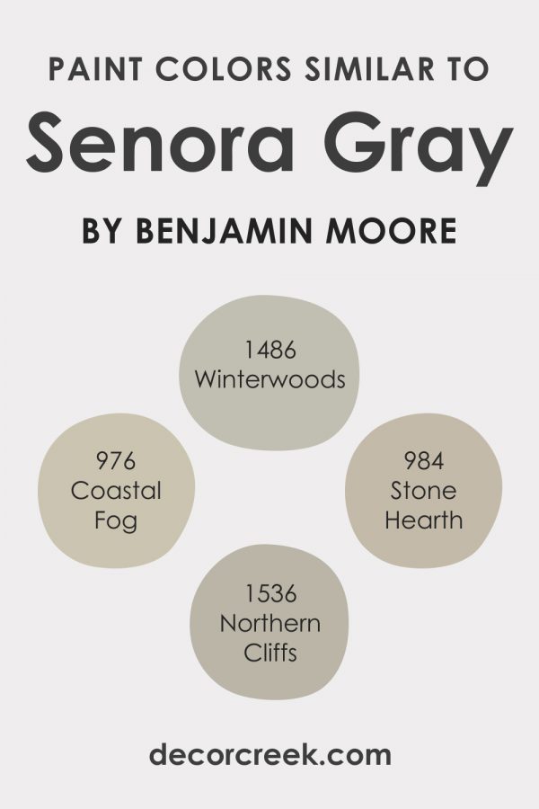 Senora Gray 1530 Paint Color by Benjamin Moore - DecorCreek