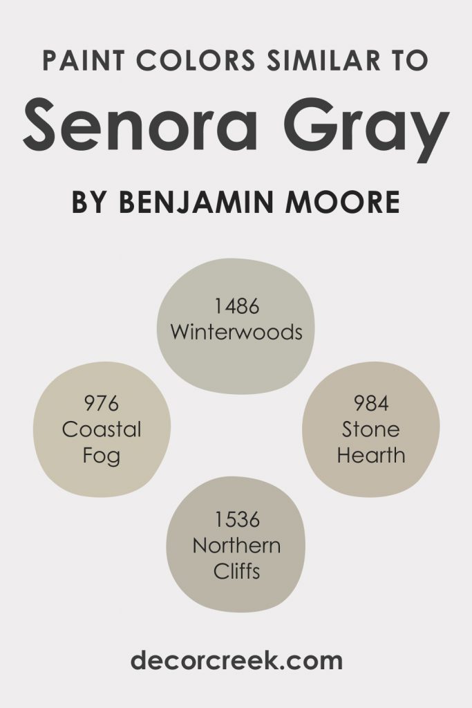 Senora Gray 1530 Paint Color by Benjamin Moore - DecorCreek