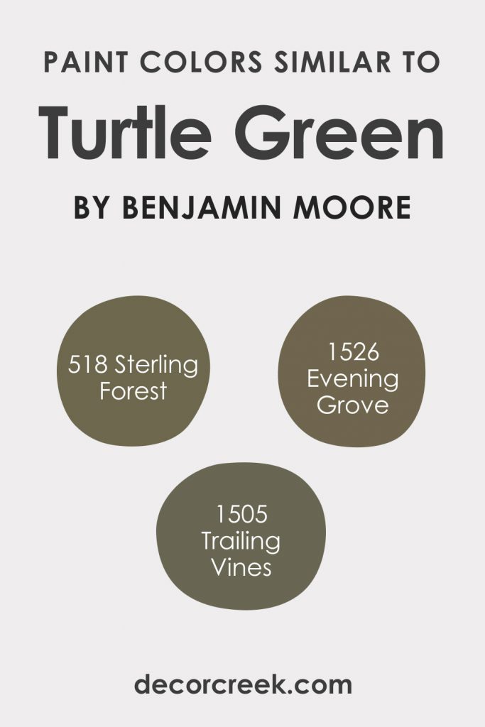 Turtle Green 2142-20 Paint Color by Benjamin Moore - DecorCreek