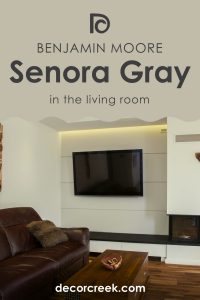 Senora Gray 1530 Paint Color by Benjamin Moore - DecorCreek
