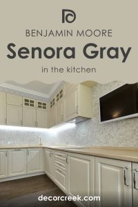 Senora Gray 1530 Paint Color by Benjamin Moore - DecorCreek