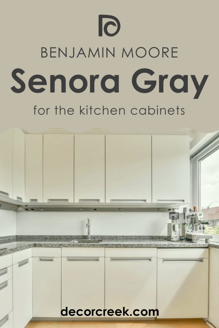 Senora Gray 1530 Paint Color by Benjamin Moore - DecorCreek