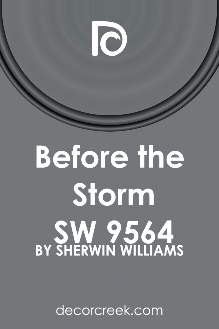 Before the Storm SW 9564 Paint Color by Sherwin Williams - DecorCreek