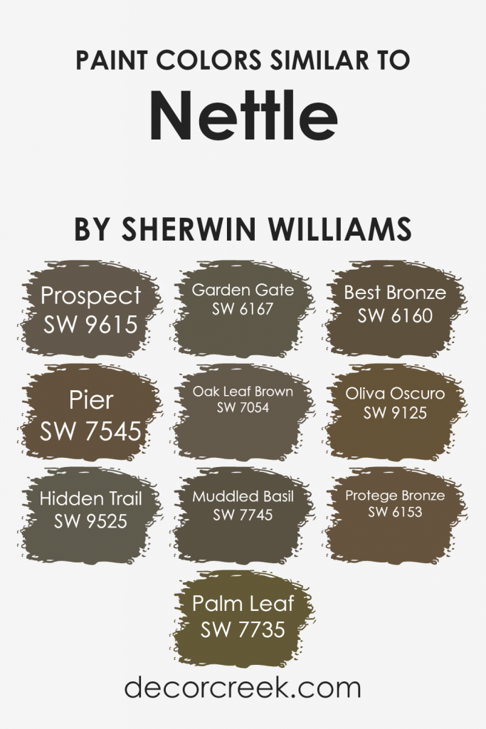 Nettle SW 9535 Paint Color by Sherwin Williams - DecorCreek