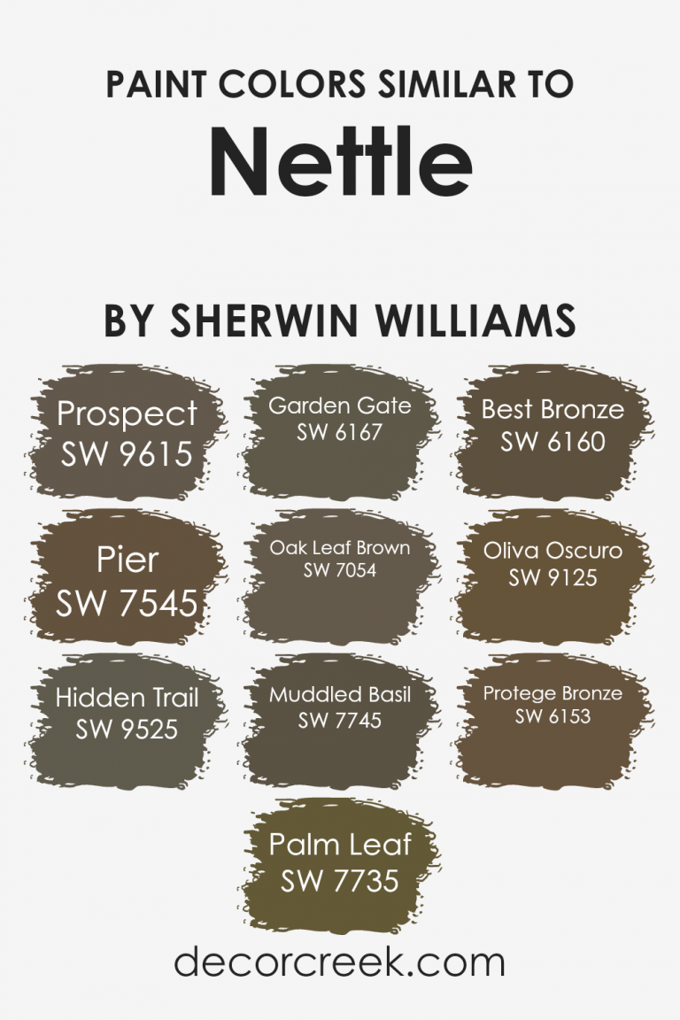 Nettle SW 9535 Paint Color by Sherwin Williams - DecorCreek