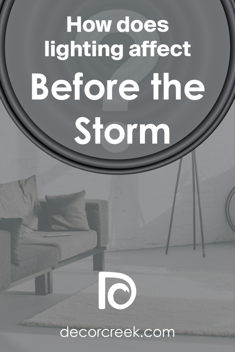 Before the Storm SW 9564 Paint Color by Sherwin Williams - DecorCreek