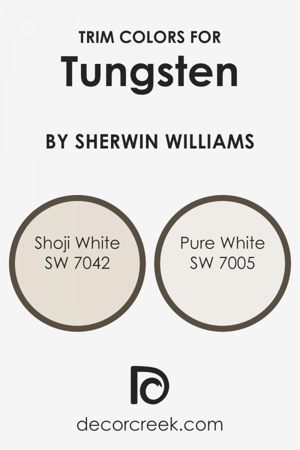 Tungsten SW 9515 Paint Color by Sherwin Williams - DecorCreek