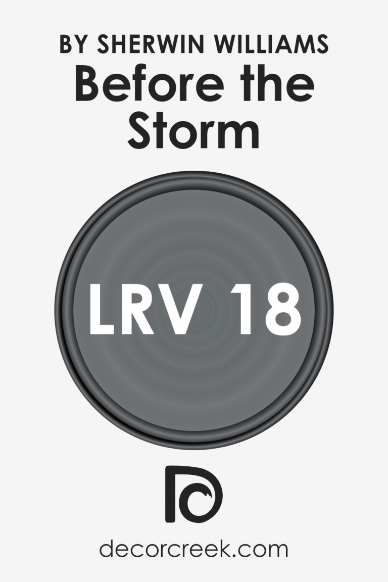 Before the Storm SW 9564 Paint Color by Sherwin Williams - DecorCreek