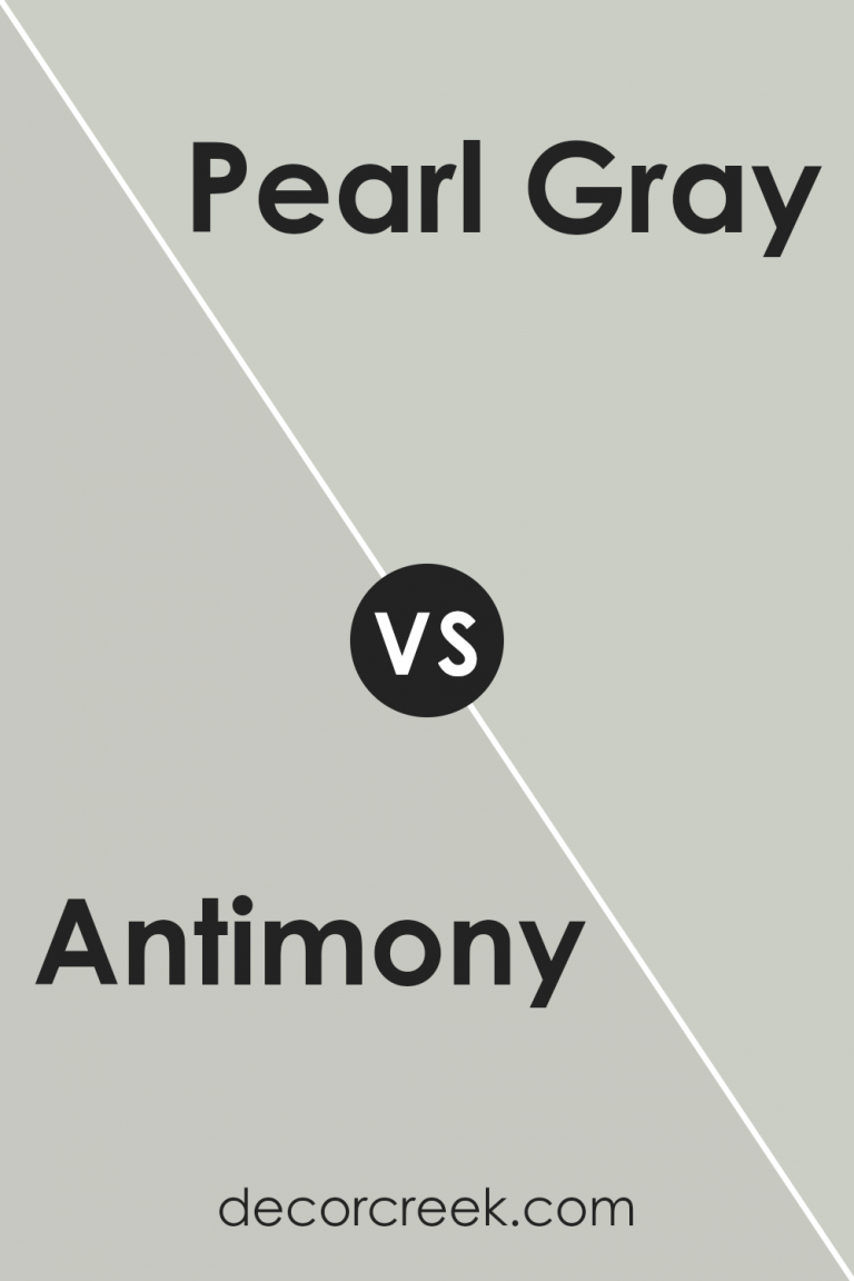 Antimony SW 9552 Paint Color by Sherwin Williams - DecorCreek