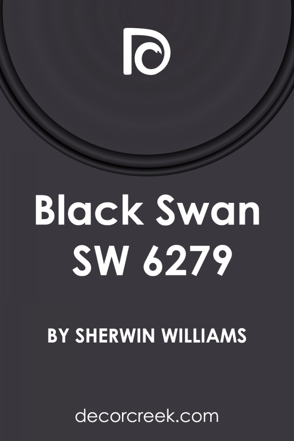 Black Swan SW 6279 Paint Color by Sherwin Williams - DecorCreek