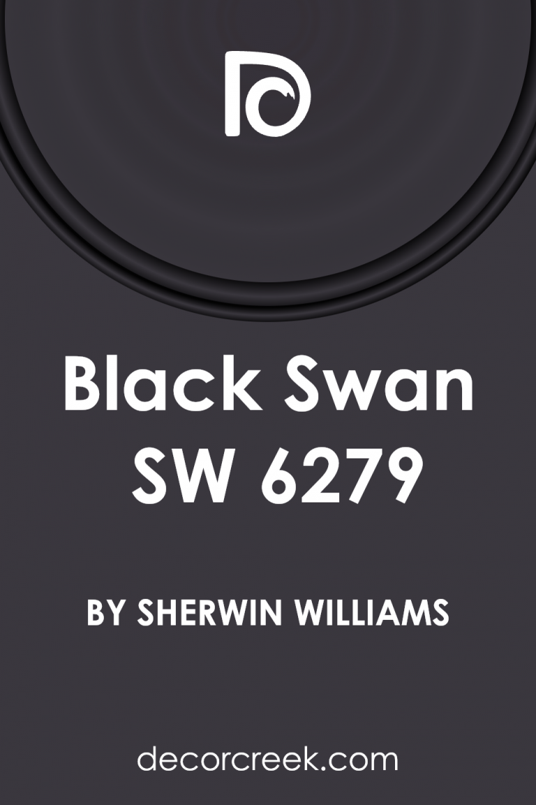 Black Swan SW 6279 Paint Color by Sherwin Williams - DecorCreek