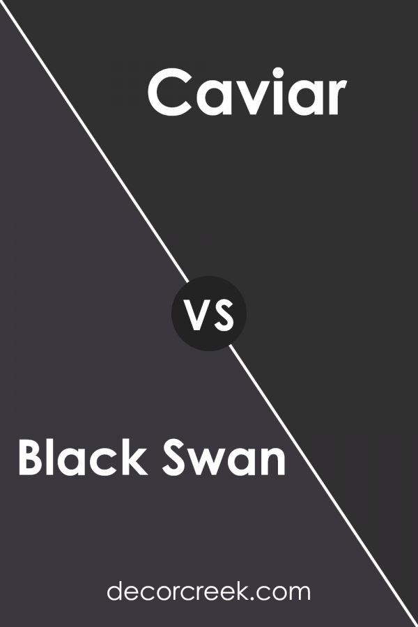 Black Swan SW 6279 Paint Color by Sherwin Williams - DecorCreek