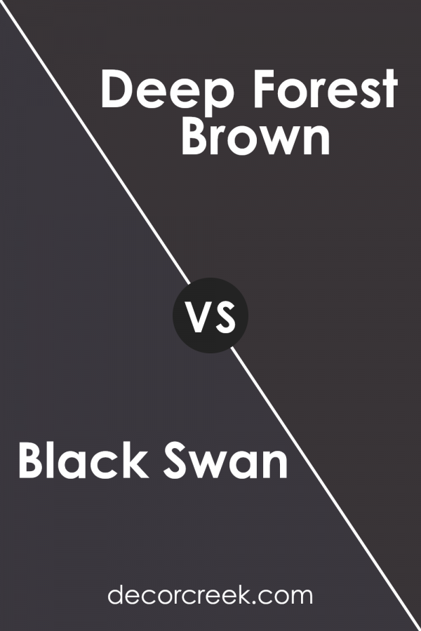 Black Swan SW 6279 Paint Color by Sherwin Williams - DecorCreek