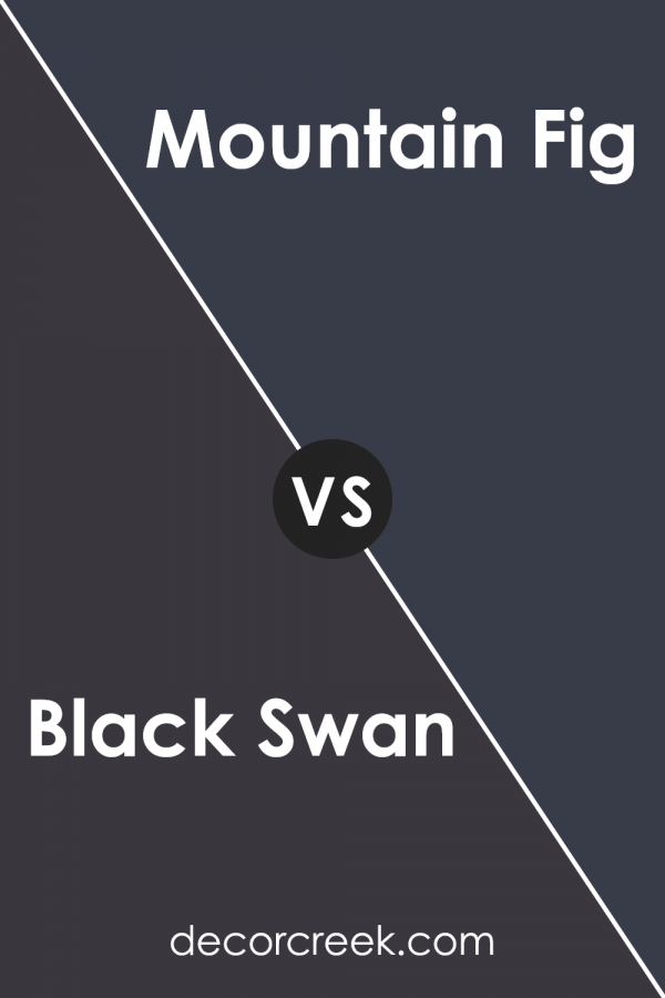 Black Swan SW 6279 Paint Color by Sherwin Williams - DecorCreek