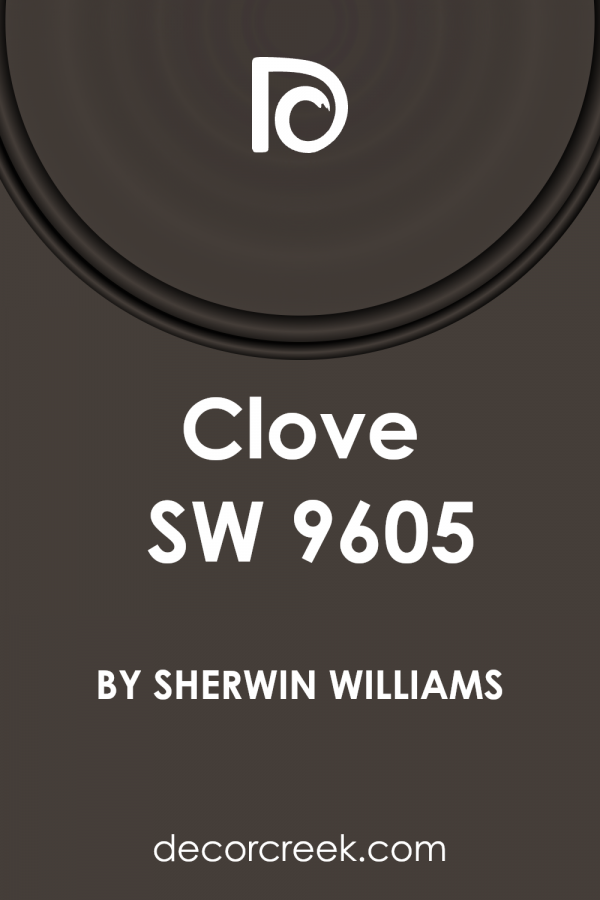 Clove SW 9605 Paint Color by Sherwin Williams - DecorCreek