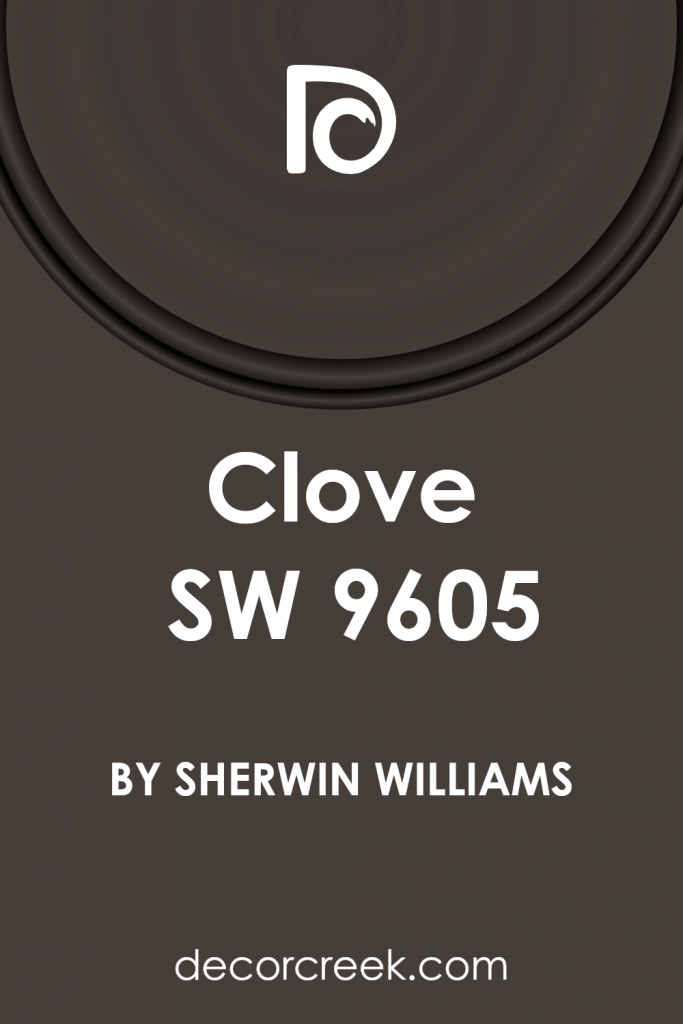 Clove SW 9605 Paint Color by Sherwin Williams - DecorCreek