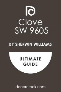 Clove SW 9605 Paint Color by Sherwin Williams - DecorCreek