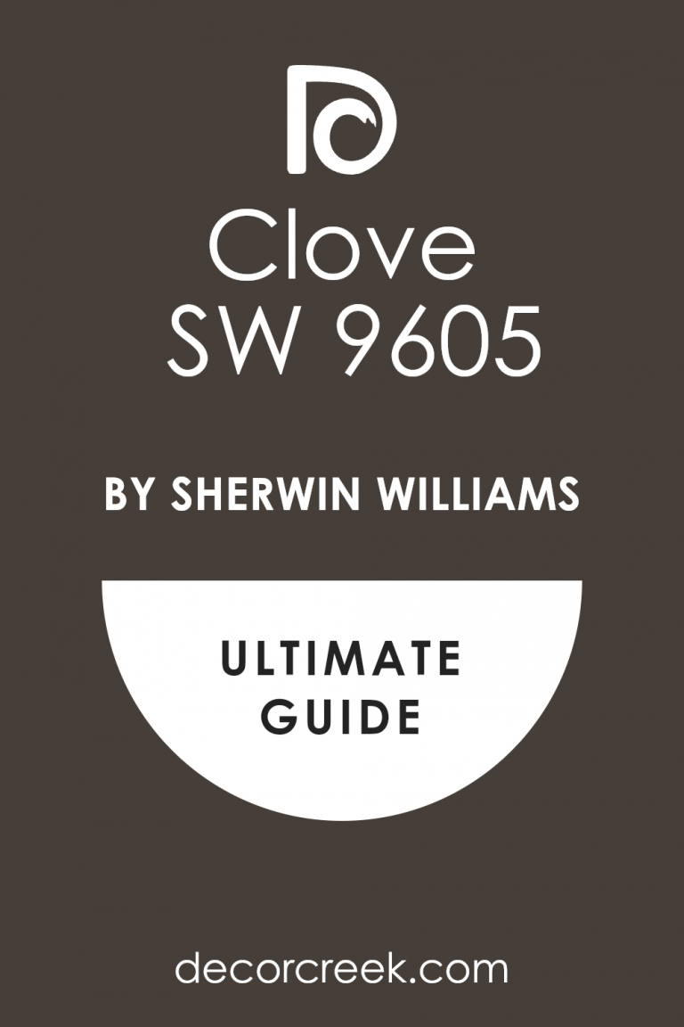 Clove SW 9605 Paint Color by Sherwin Williams - DecorCreek