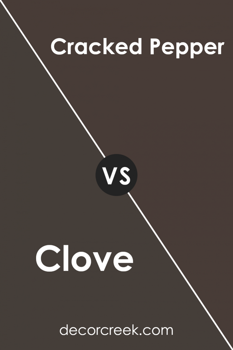 Clove SW 9605 Paint Color by Sherwin Williams - DecorCreek