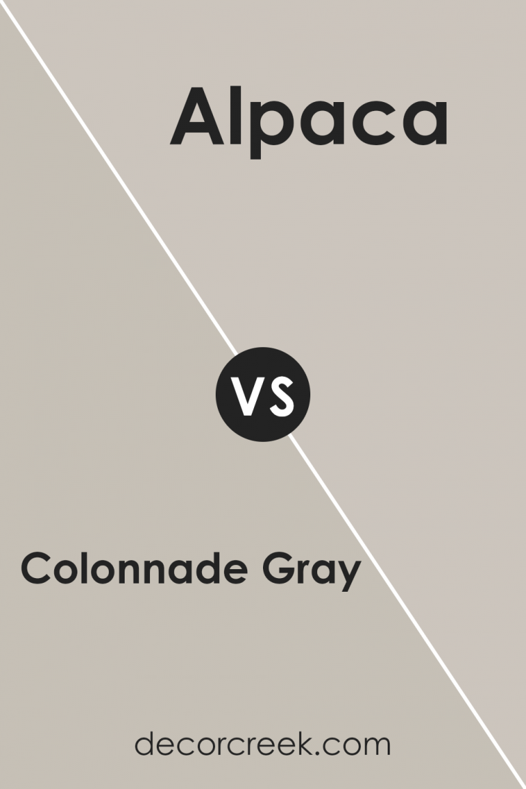 Colonnade Gray SW 7641 Paint Color by Sherwin Williams - DecorCreek