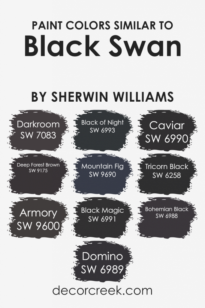 Black Swan SW 6279 Paint Color by Sherwin Williams - DecorCreek