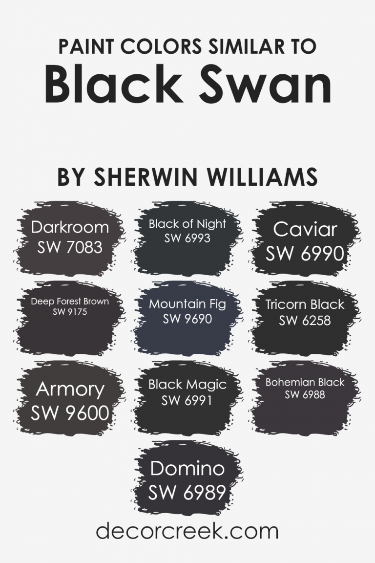 Black Swan SW 6279 Paint Color by Sherwin Williams - DecorCreek