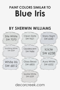 Blue Iris SW 9687 Paint Color by Sherwin Williams - DecorCreek