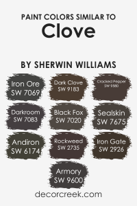 Clove SW 9605 Paint Color by Sherwin Williams - DecorCreek