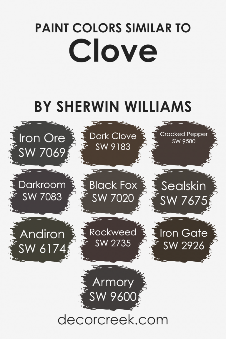 Clove SW 9605 Paint Color by Sherwin Williams - DecorCreek