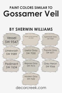 Gossamer Veil SW 9165 Paint Color by Sherwin Williams - DecorCreek