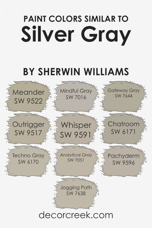 Silver Gray SW 0049 Paint Color by Sherwin Williams - DecorCreek