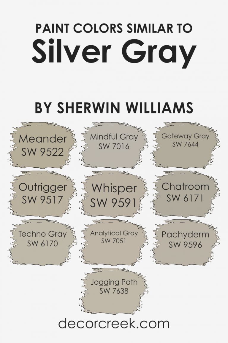 Silver Gray SW 0049 Paint Color by Sherwin Williams - DecorCreek