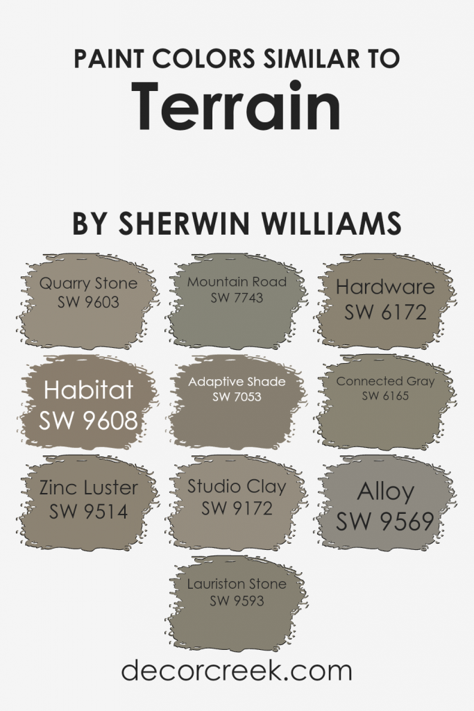 Terrain SW 9613 Paint Color by Sherwin Williams - DecorCreek