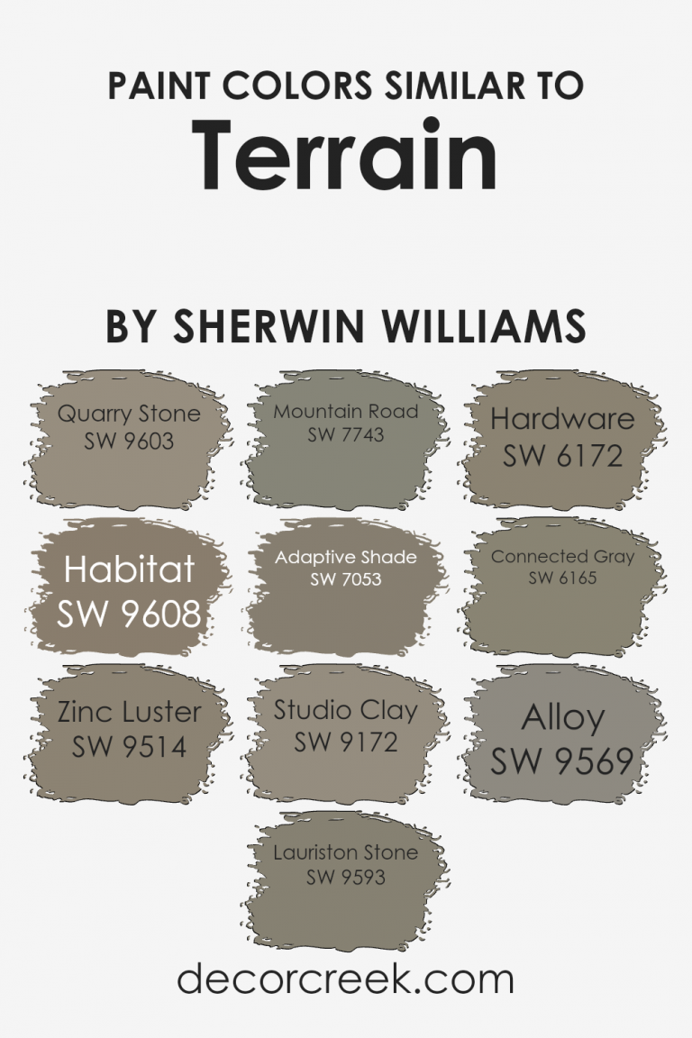 Terrain SW 9613 Paint Color by Sherwin Williams - DecorCreek