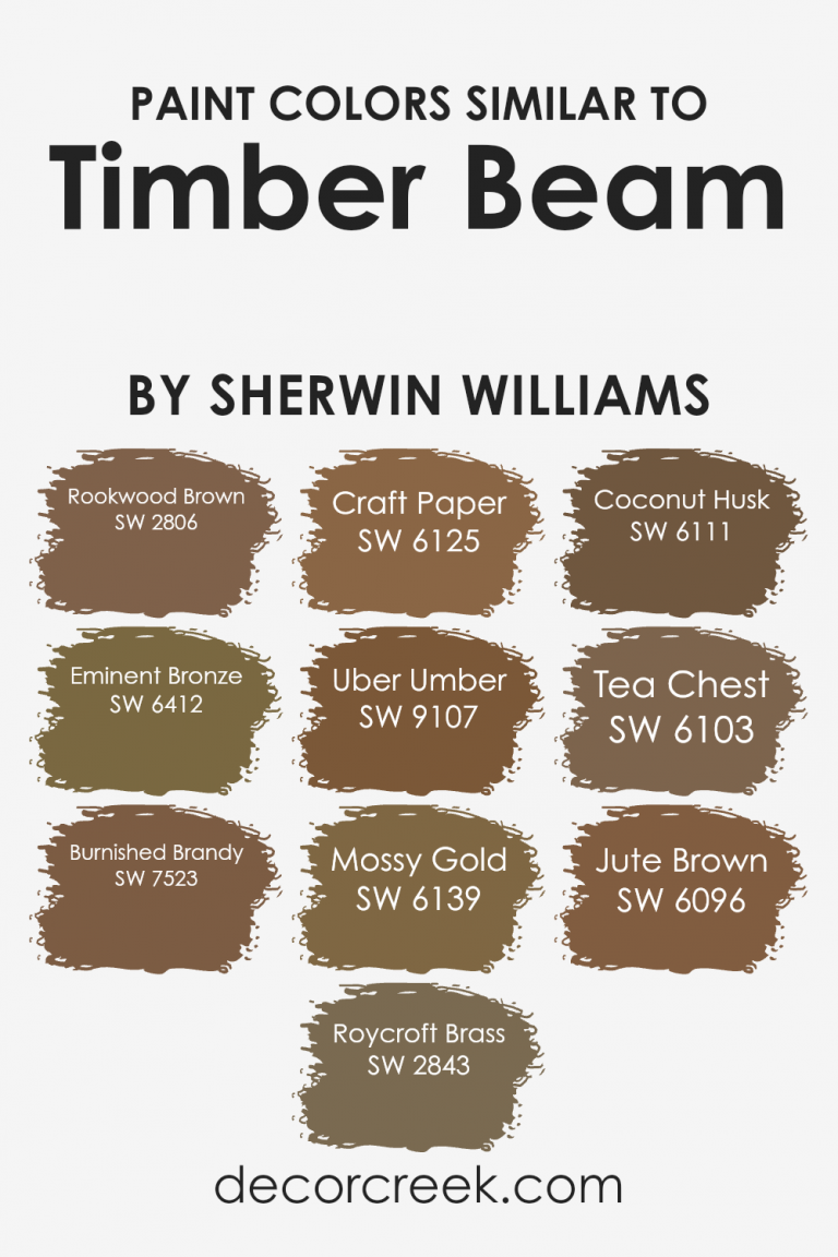 Timber Beam SW 9540 Paint Color by Sherwin Williams - DecorCreek