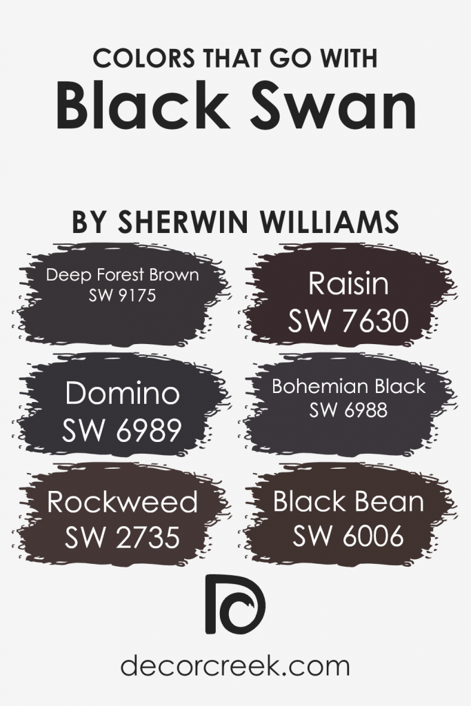 Black Swan SW 6279 Paint Color by Sherwin Williams - DecorCreek