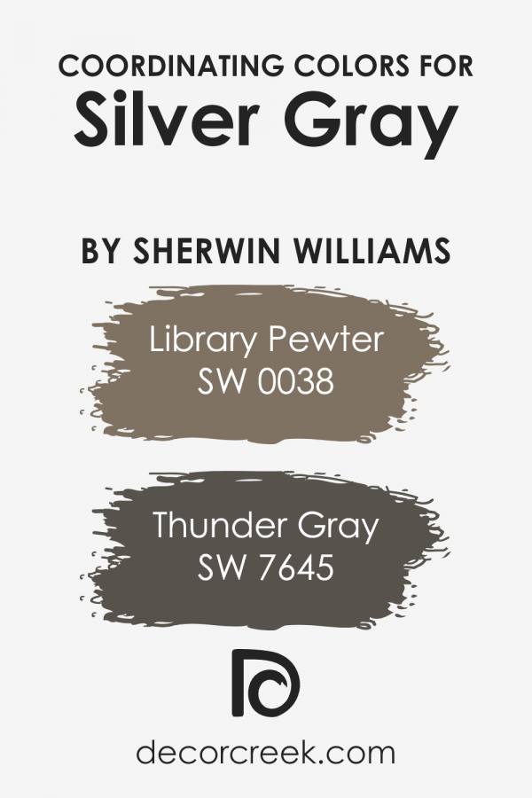 Silver Gray SW 0049 Paint Color by Sherwin Williams - DecorCreek