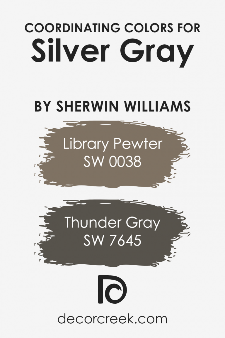 Silver Gray SW 0049 Paint Color by Sherwin Williams - DecorCreek