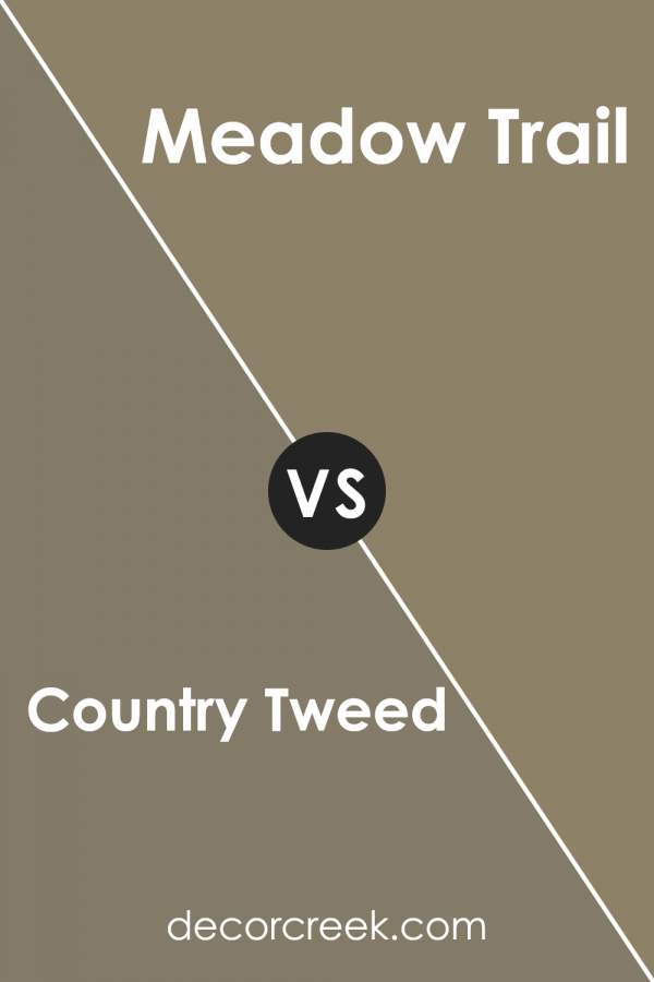Country Tweed SW 9519 Paint Color by Sherwin Williams - DecorCreek