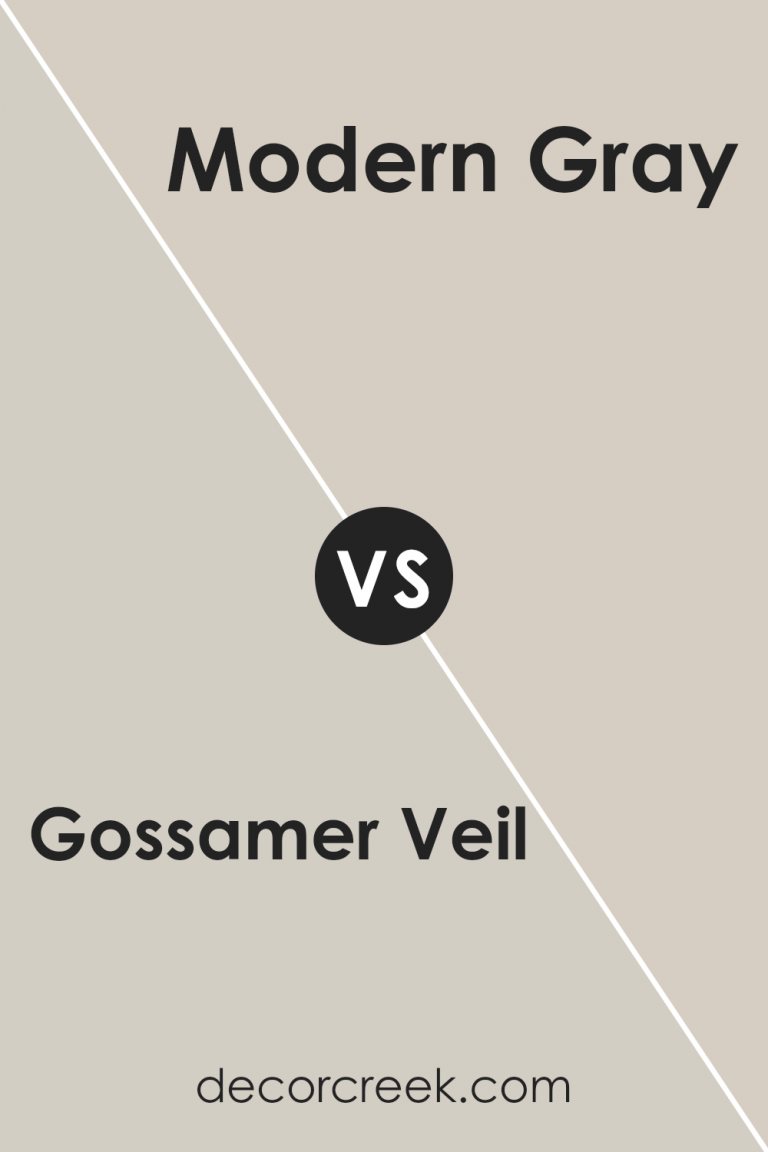 Gossamer Veil SW 9165 Paint Color by Sherwin Williams - DecorCreek