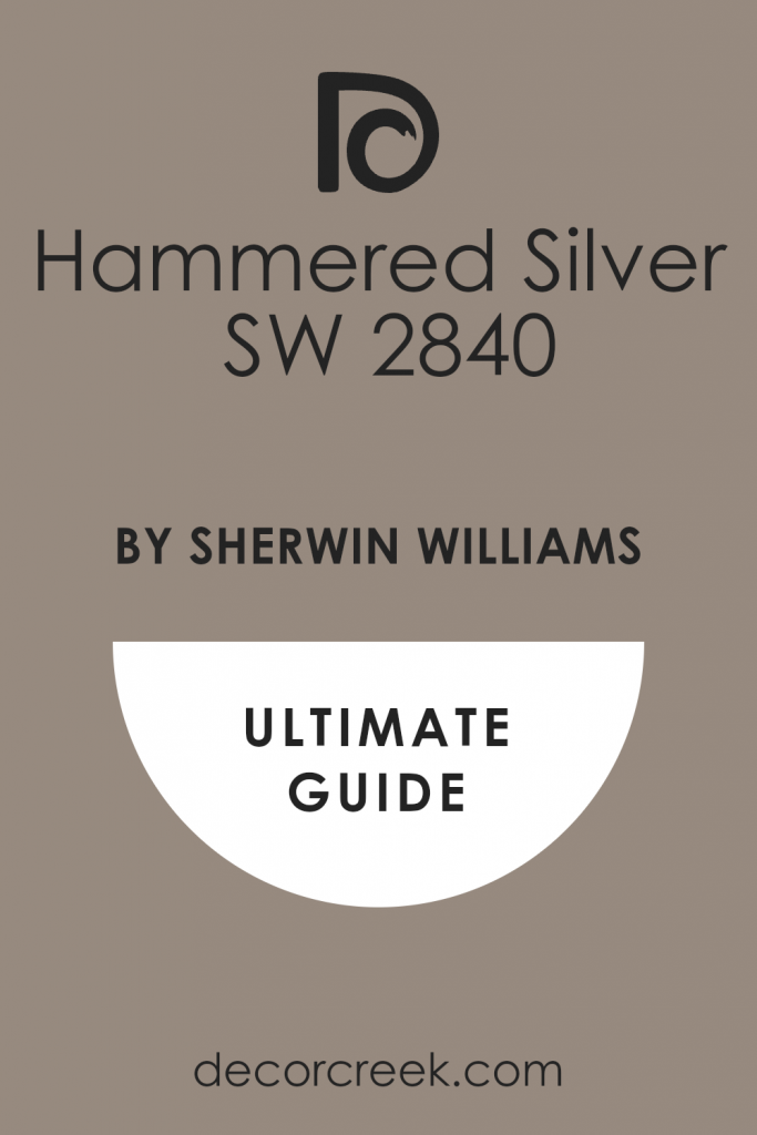 Hammered Silver SW 2840 Paint Color by Sherwin Williams - DecorCreek