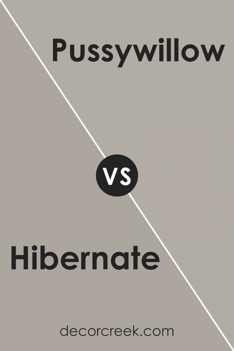 Hibernate SW 9573 Paint Color by Sherwin Williams - DecorCreek