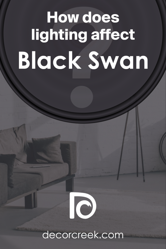 Black Swan SW 6279 Paint Color by Sherwin Williams - DecorCreek